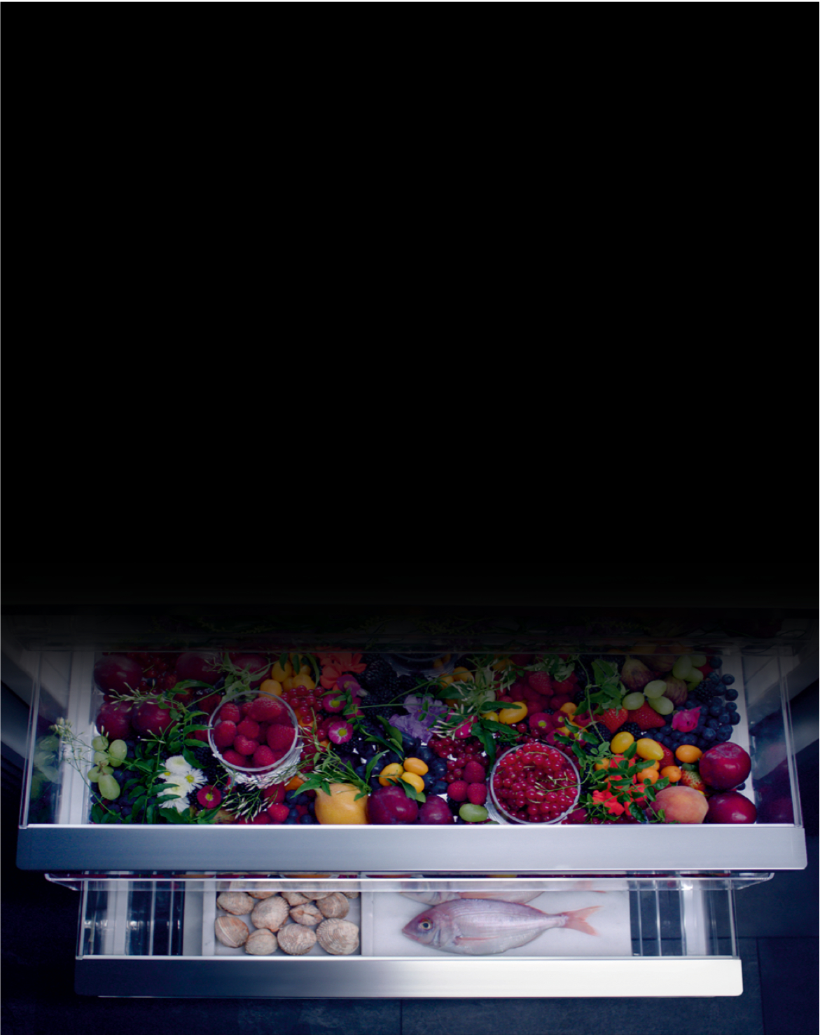 Discover Miele Mastercool Refrigerators & Freezers | Now Available ...